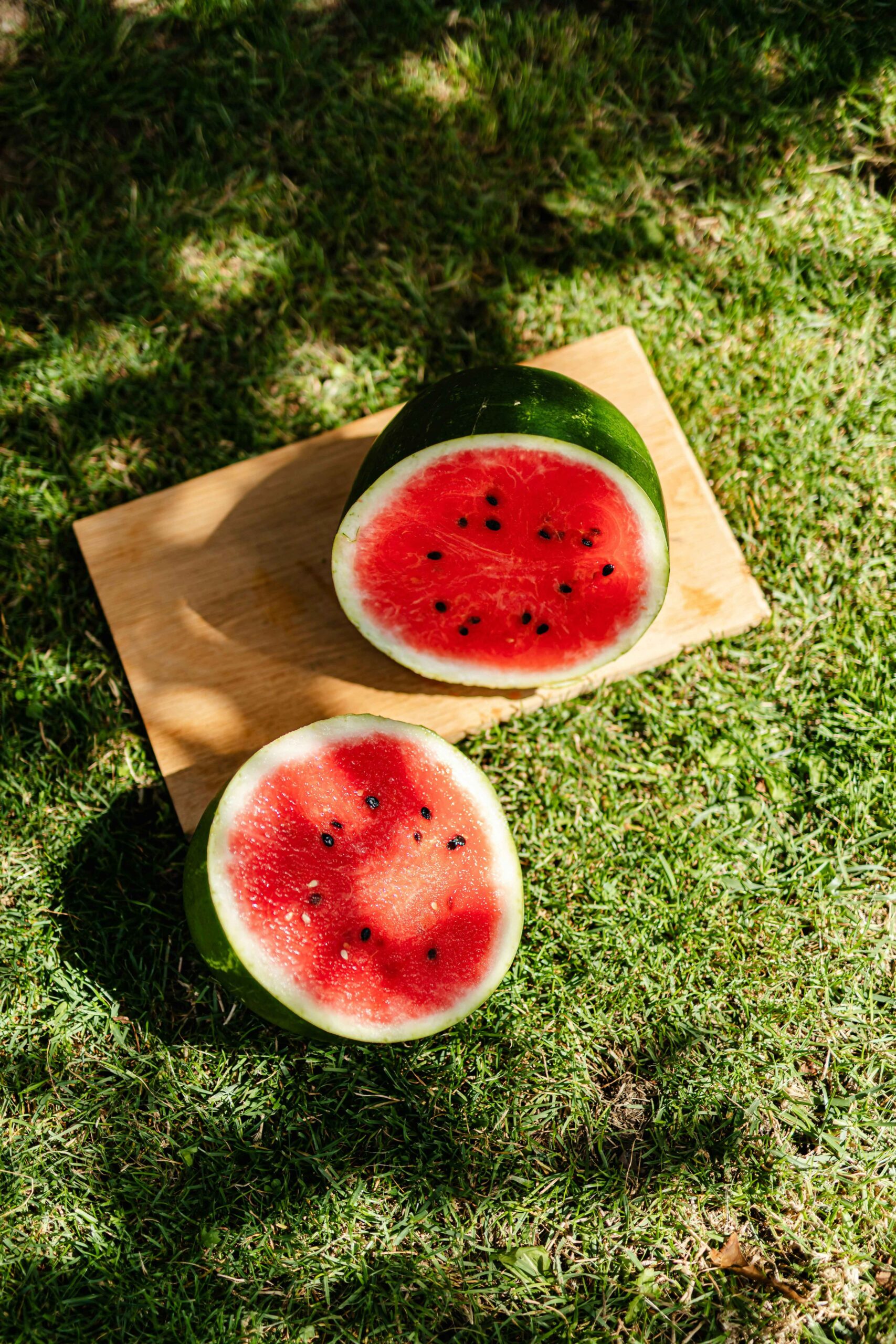 All you need to know about Florida Watermelon Farms - From9toThrive
